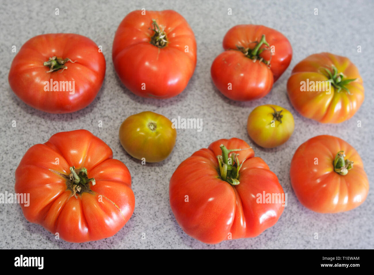 Big red tomatoes hi-res stock photography and images - Alamy