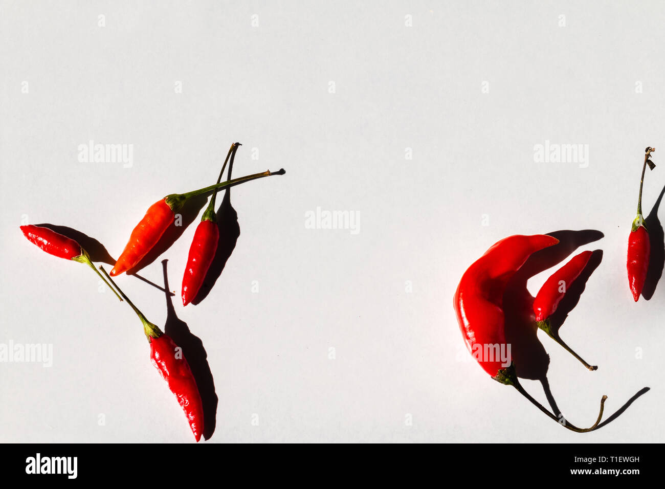 The chili pepper (chile, chile pepper, chilli pepper, or chilli Stock ...