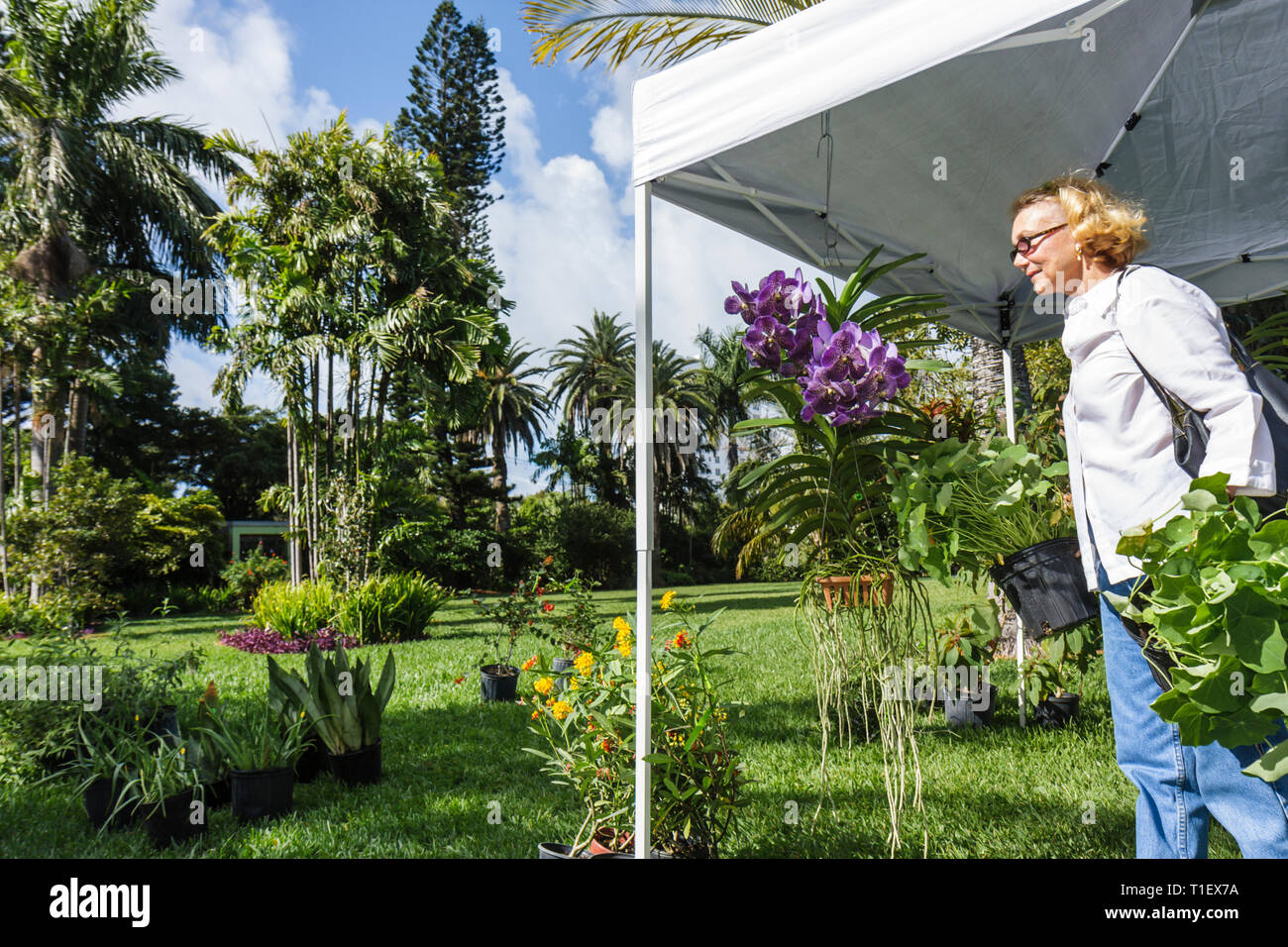 Miami Beach Florida,Miami Beach,Botanical Garden,Tour of,Miami Beach ...