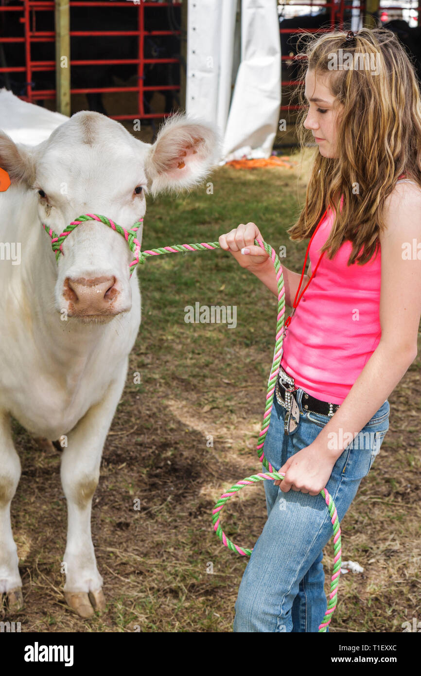 Miami Florida,Kendall,Tropical Park,Miami International Agriculture and Cattle Show,breeding ...