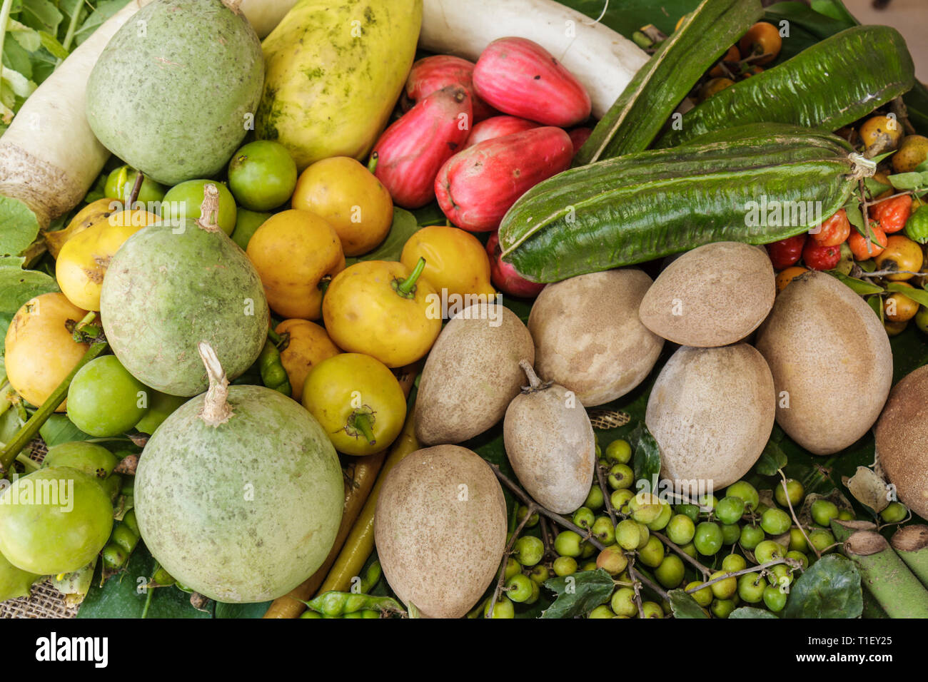 Exotic Cattle High Resolution Stock Photography and Images - Alamy