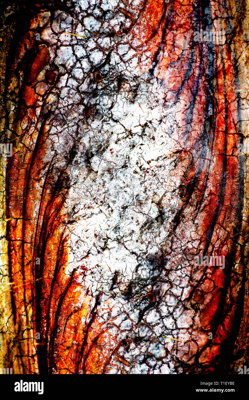 Agriculture texture hi-res stock photography and images - Alamy