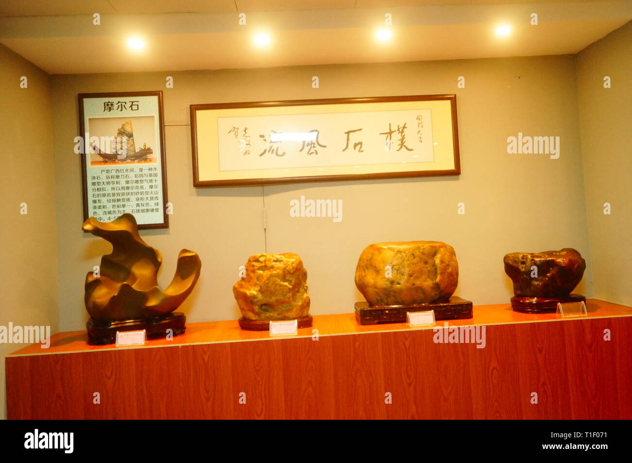 Shenzhen, China: The Margin Stone Museum, a private museum, showcases ...