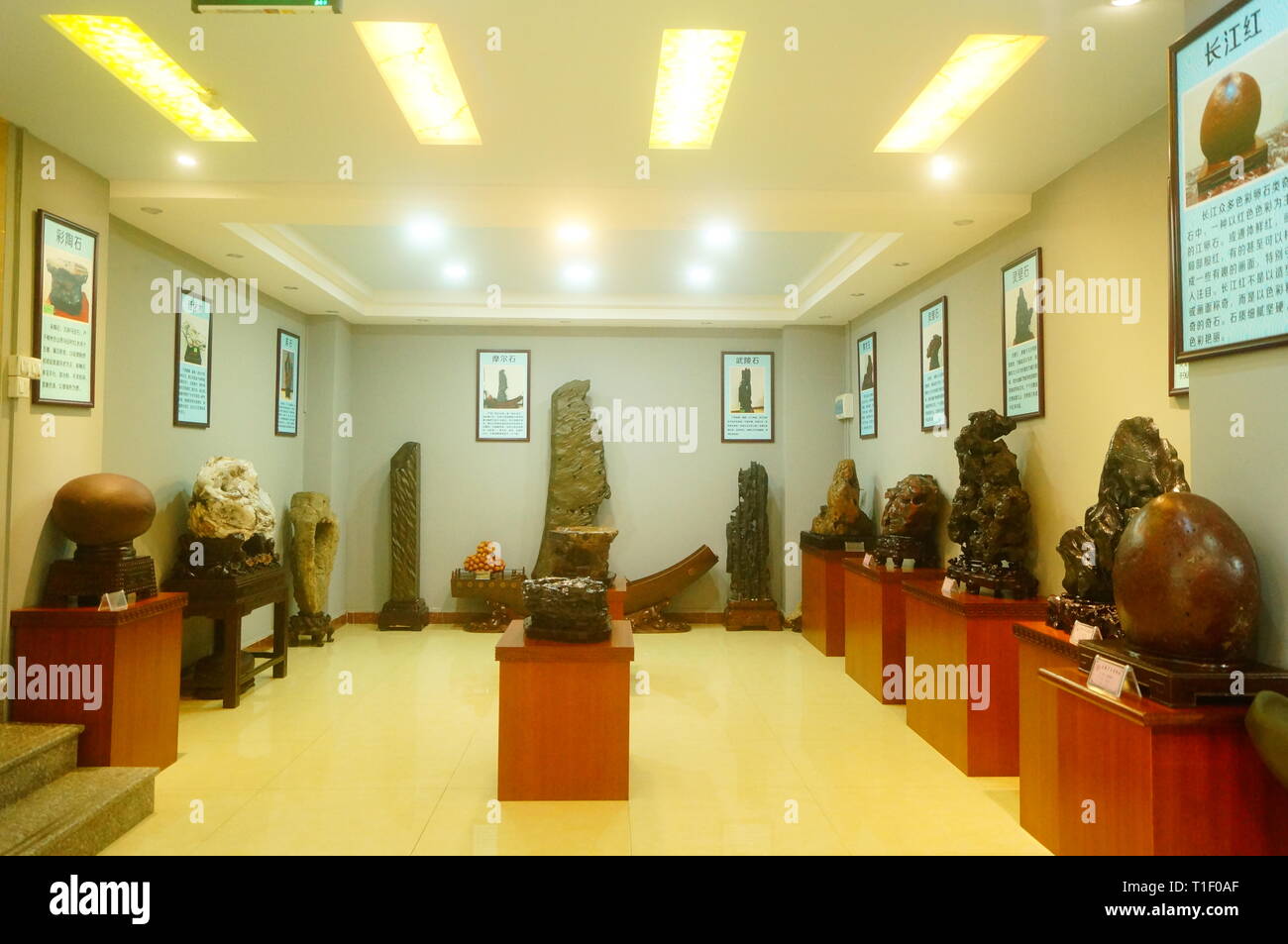 Shenzhen, China: The Margin Stone Museum, a private museum, showcases ...