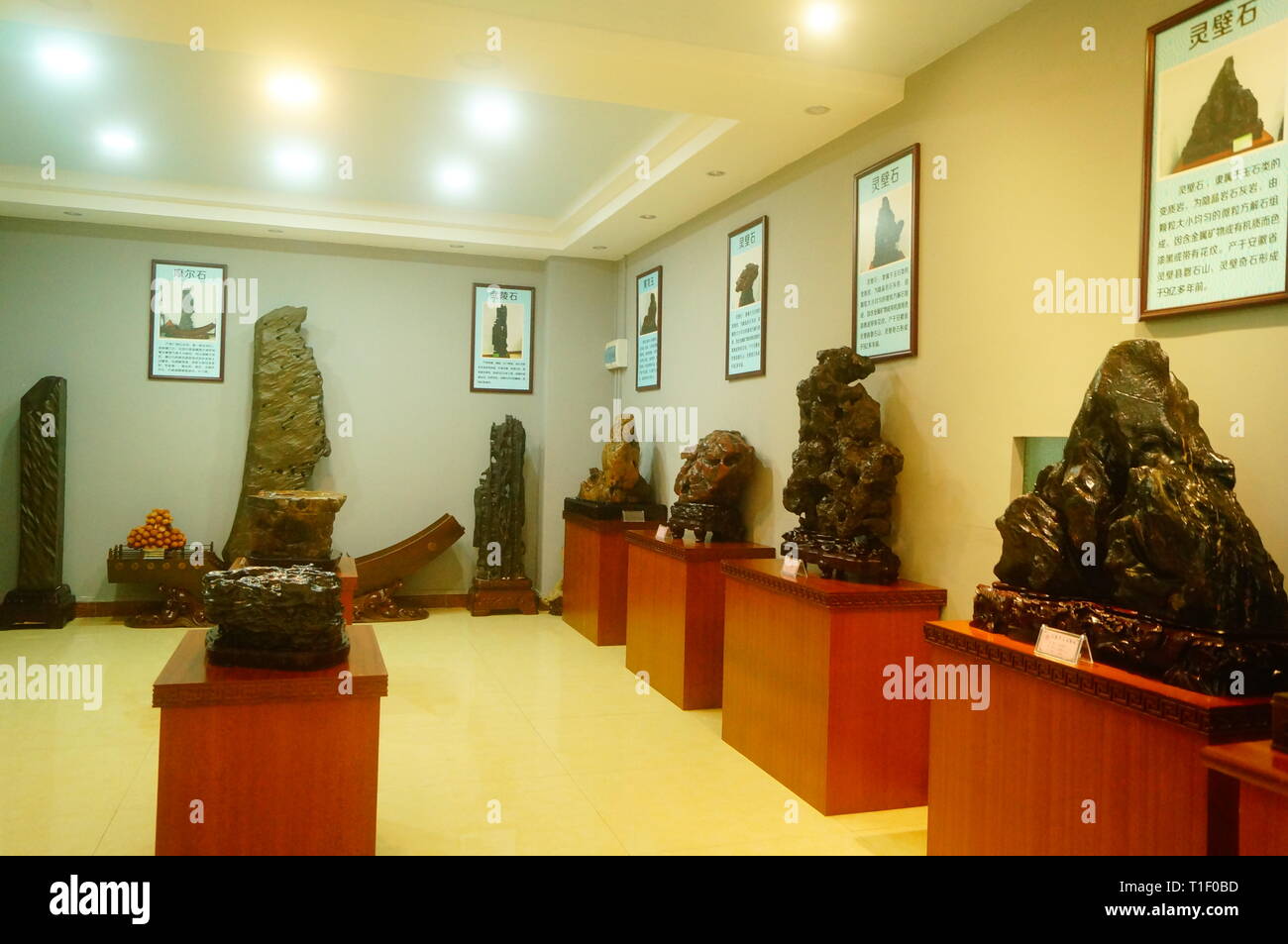 Shenzhen, China: The Margin Stone Museum, a private museum, showcases ...