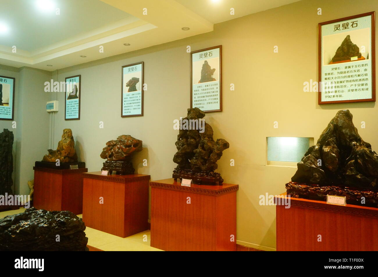 Shenzhen, China: The Margin Stone Museum, a private museum, showcases ...