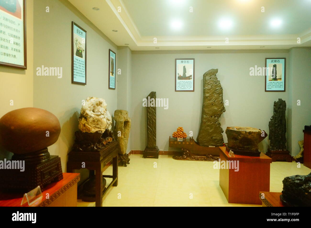 Shenzhen, China: The Margin Stone Museum, a private museum, showcases ...