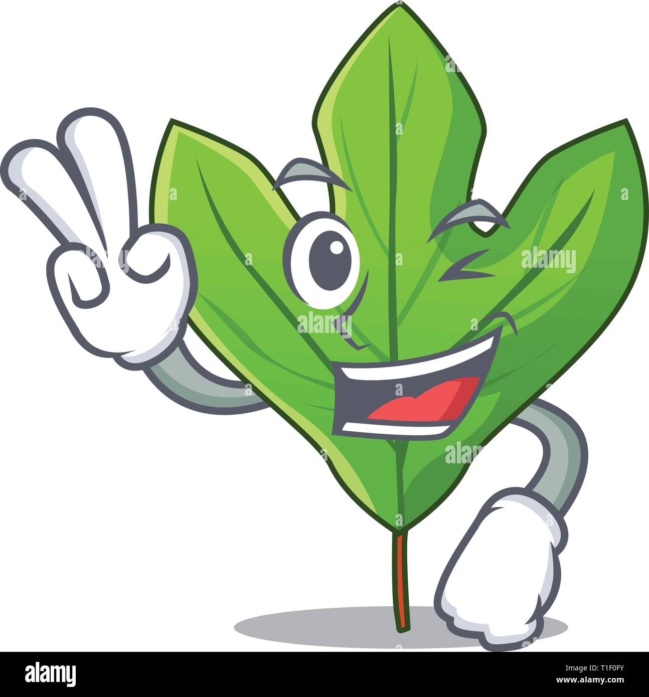 Two finger sassafras leaf in the cartoon stem vector illustration Stock ...