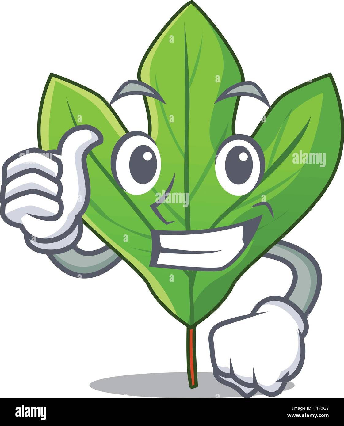 Sassafrass Stock Vector Images - Alamy