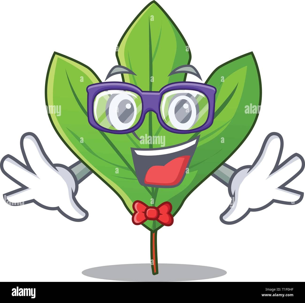 Sassafrass Stock Vector Images - Alamy