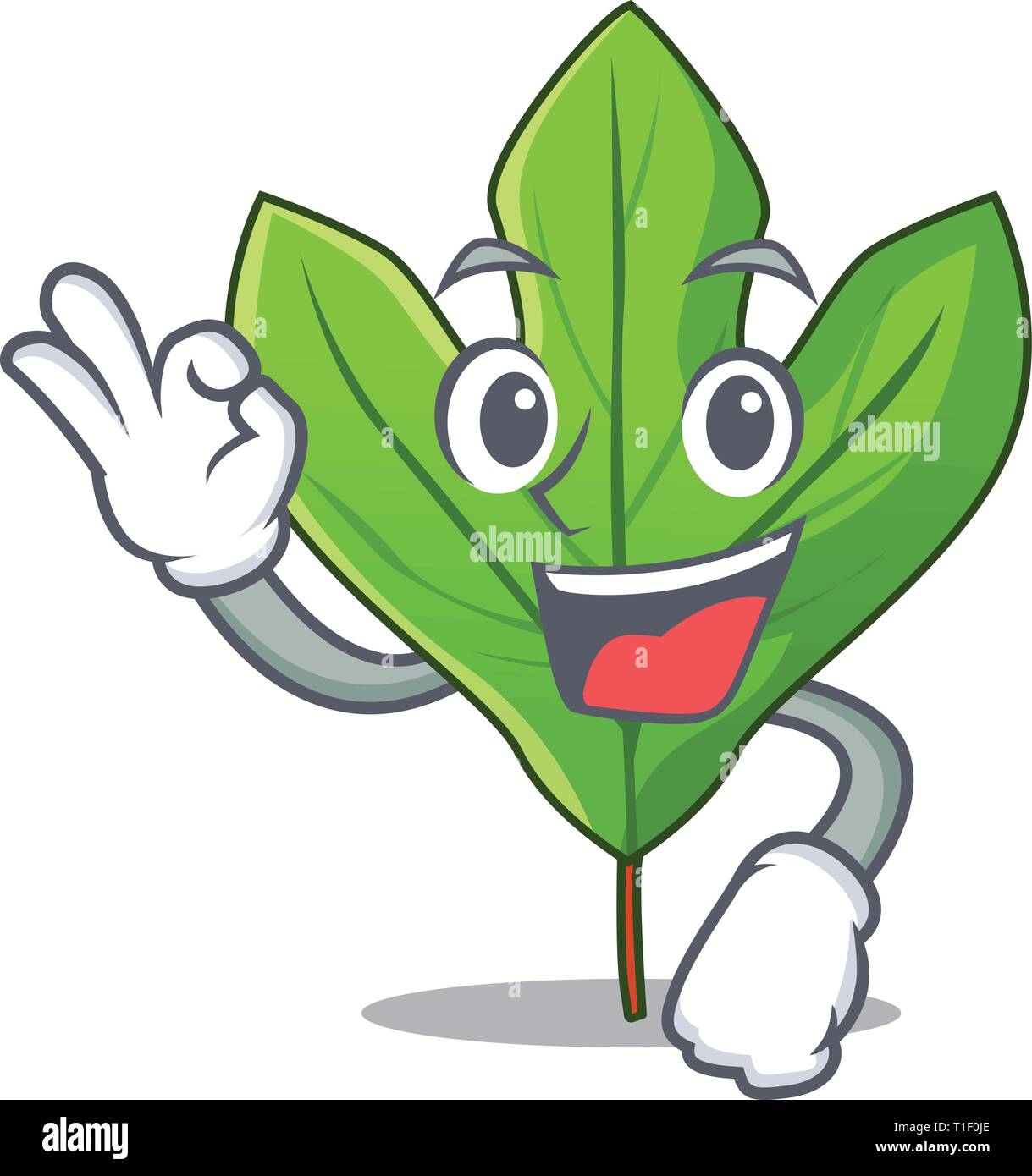 Sassafrass Stock Vector Images - Alamy