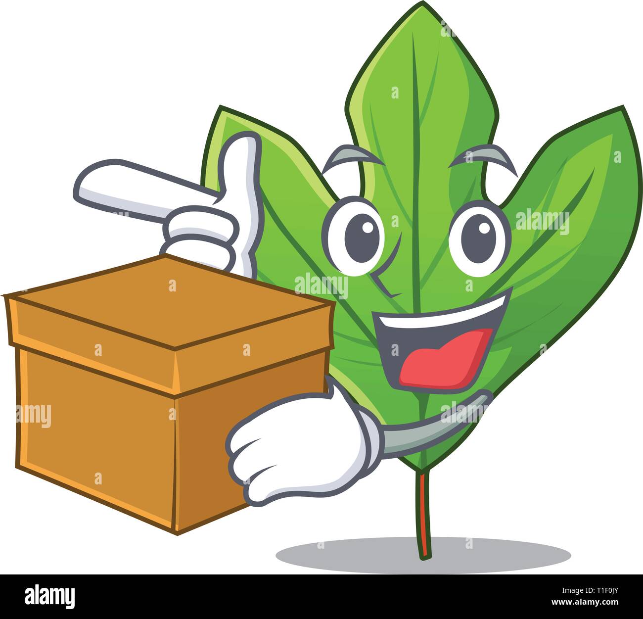With box sassafras leaf in the cartoon stem vector illustration Stock ...
