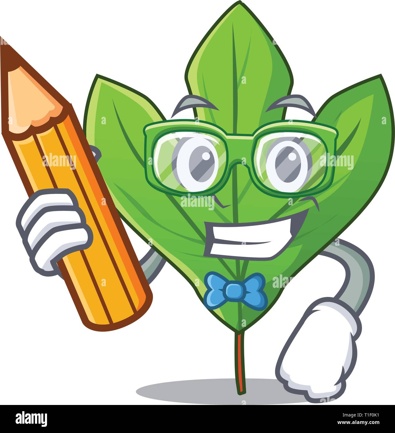 Student sassafras leaf in the cartoon stem vector illustration Stock ...