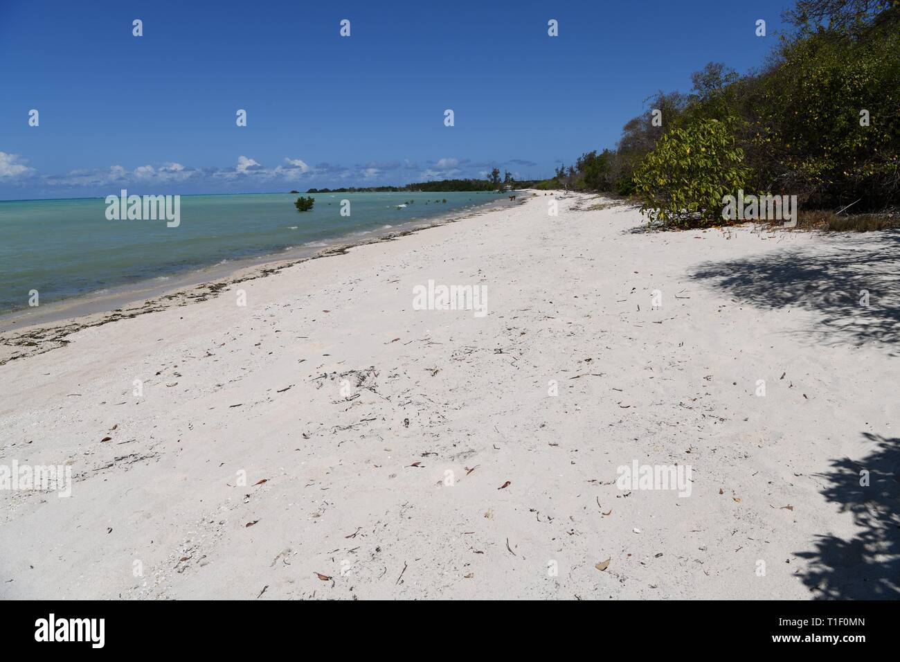 Quirimbas national park hi-res stock photography and images - Alamy