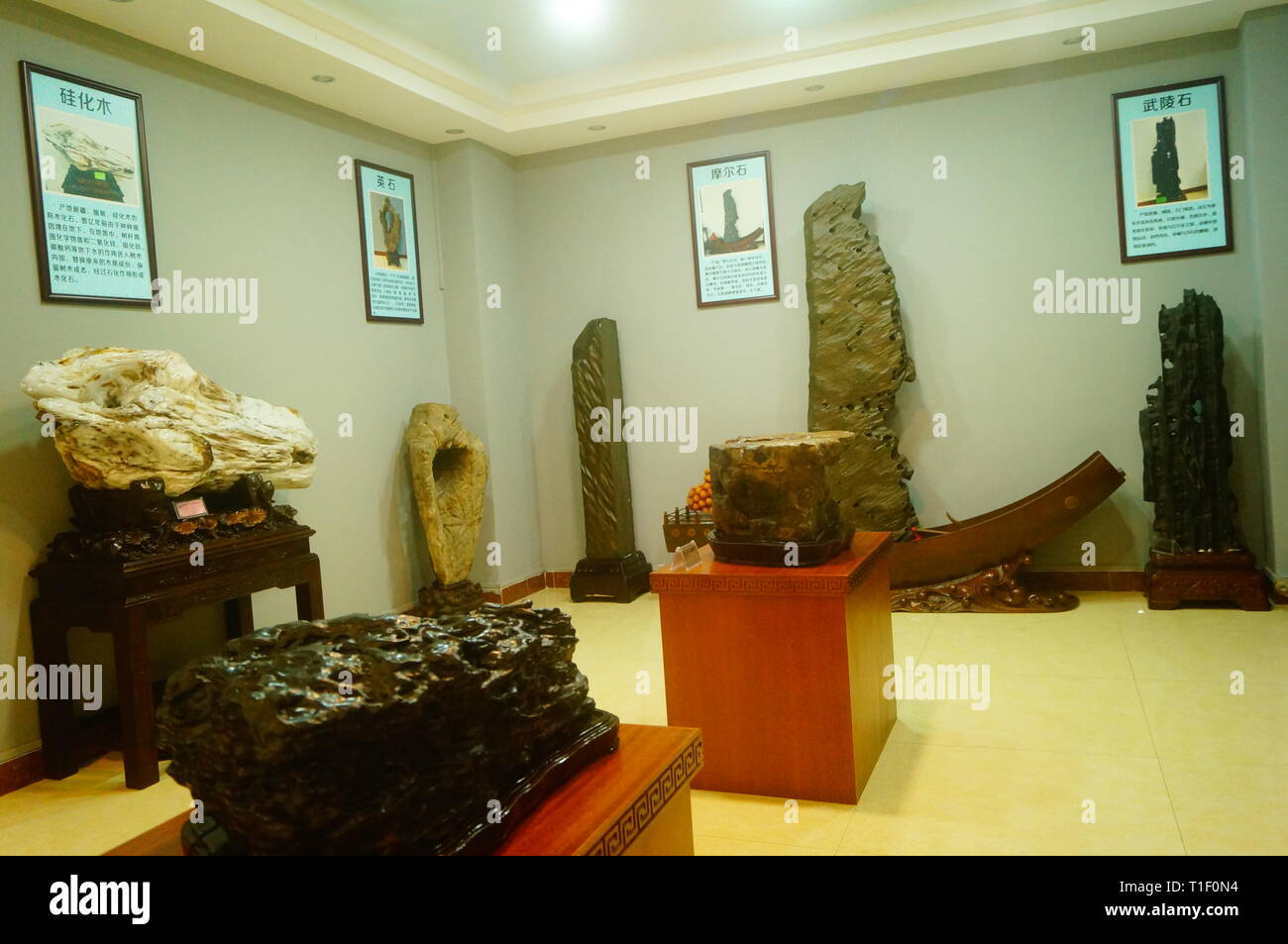 Shenzhen, China: The Margin Stone Museum, a private museum, showcases ...