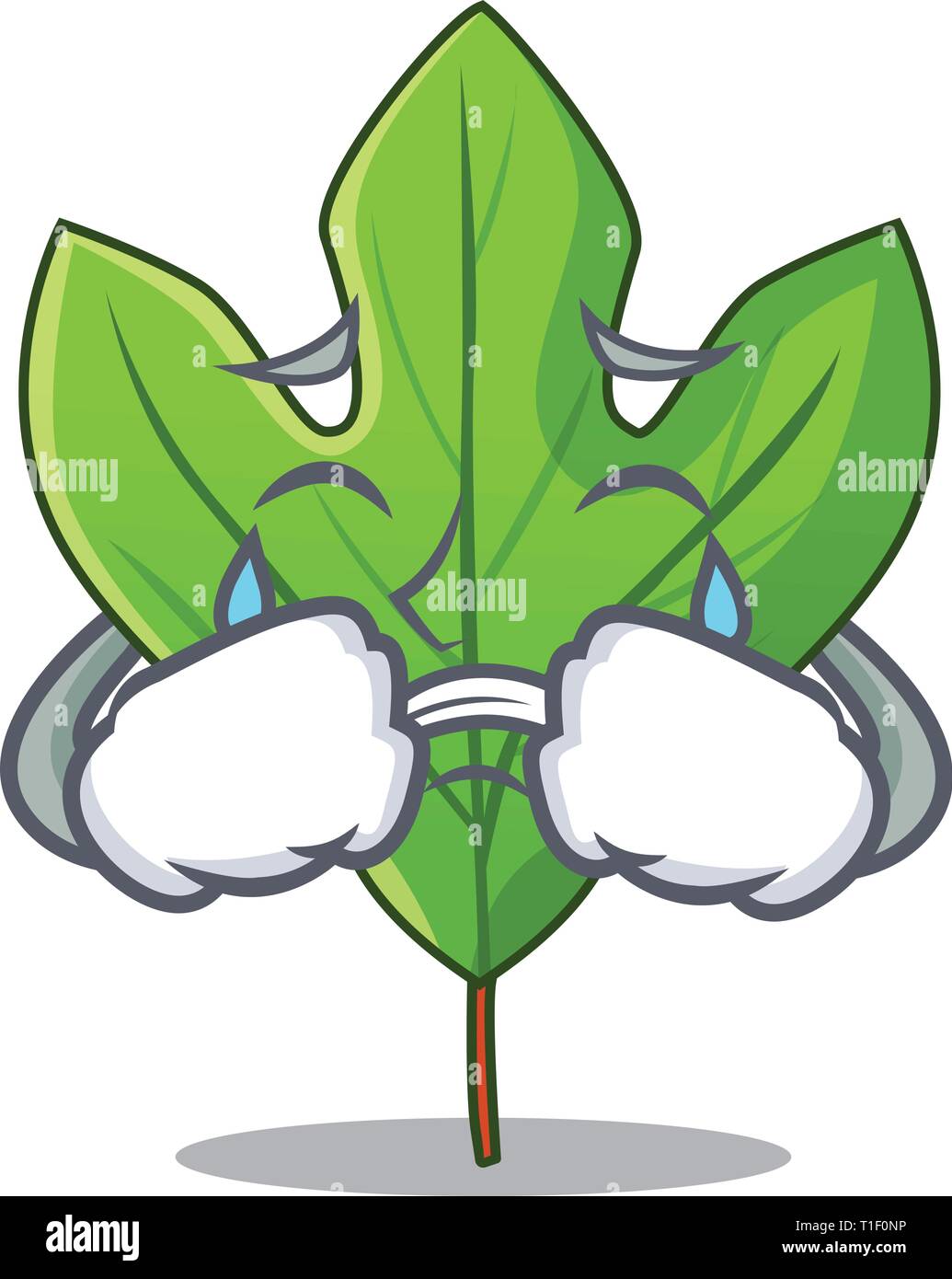 Crying sassafras leaf in the mascot pots vector illustration Stock ...