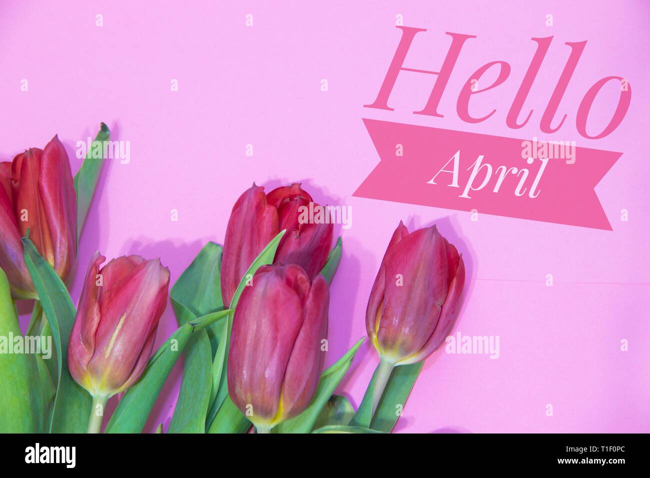 Banner hello april. Hi spring. The second month of spring. Welcome card ...
