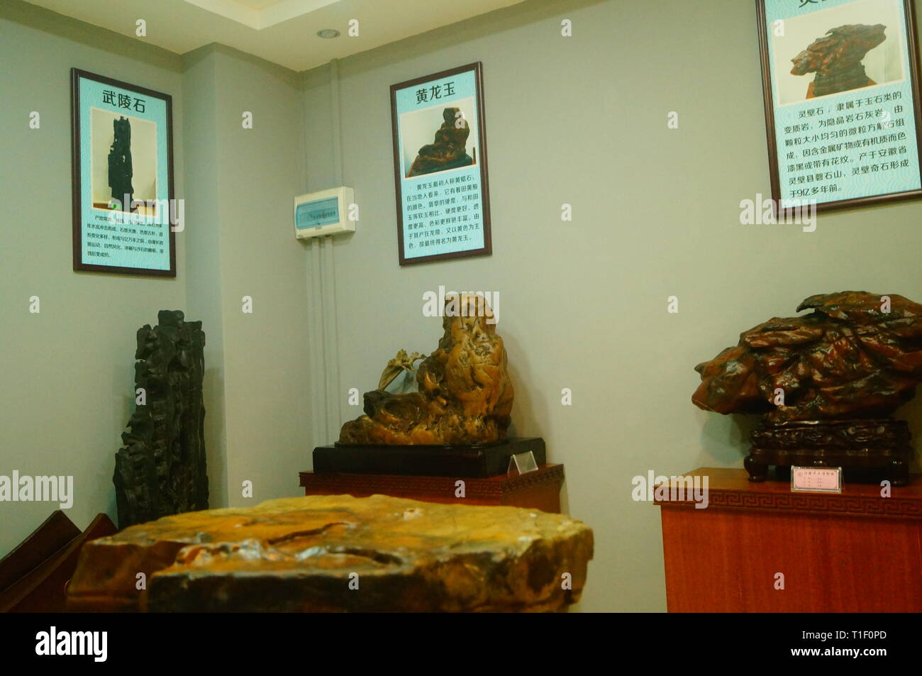 Shenzhen, China: The Margin Stone Museum, a private museum, showcases ...