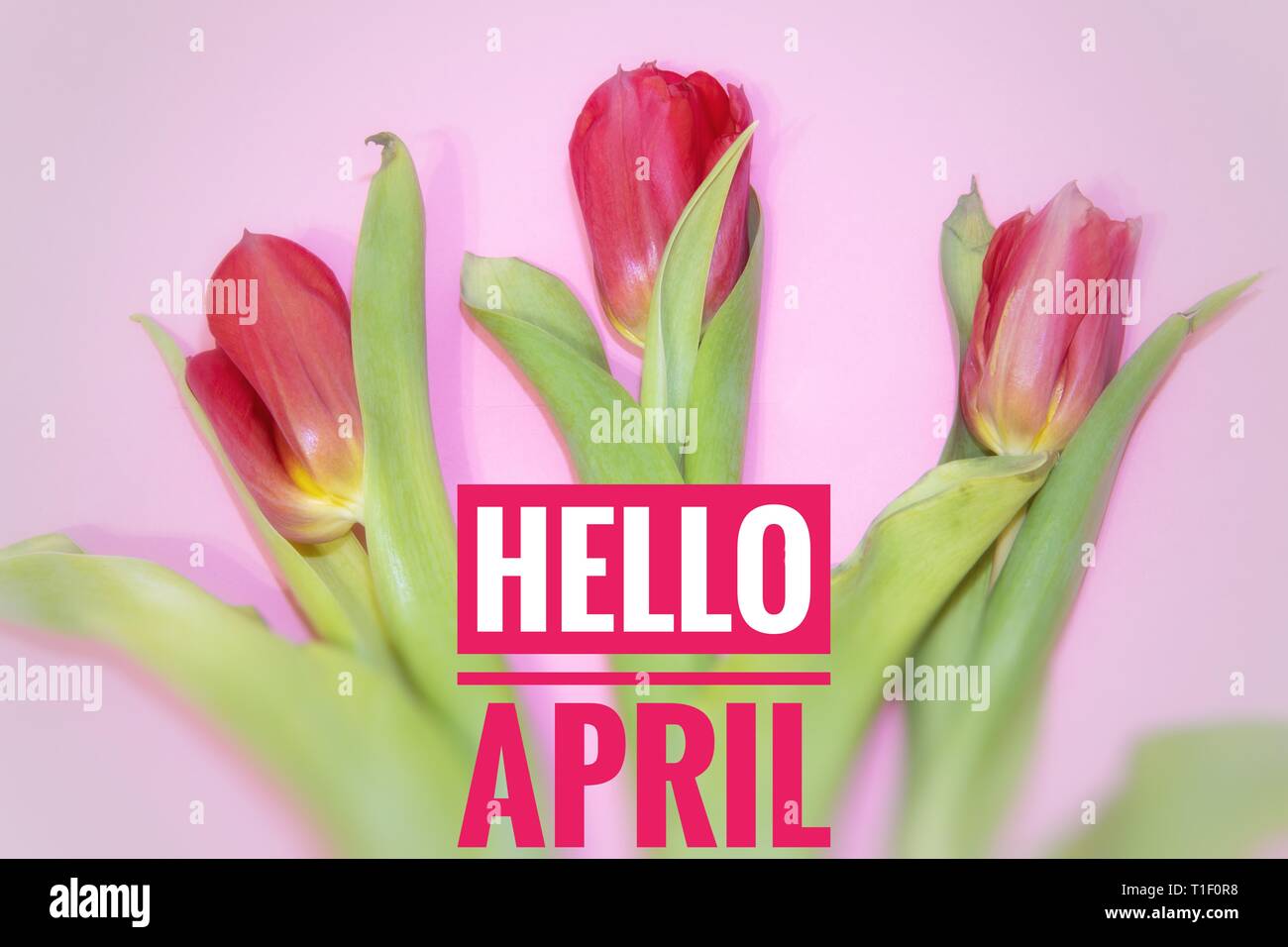 Banner hello april. Hi spring. The second month of spring. Welcome card ...