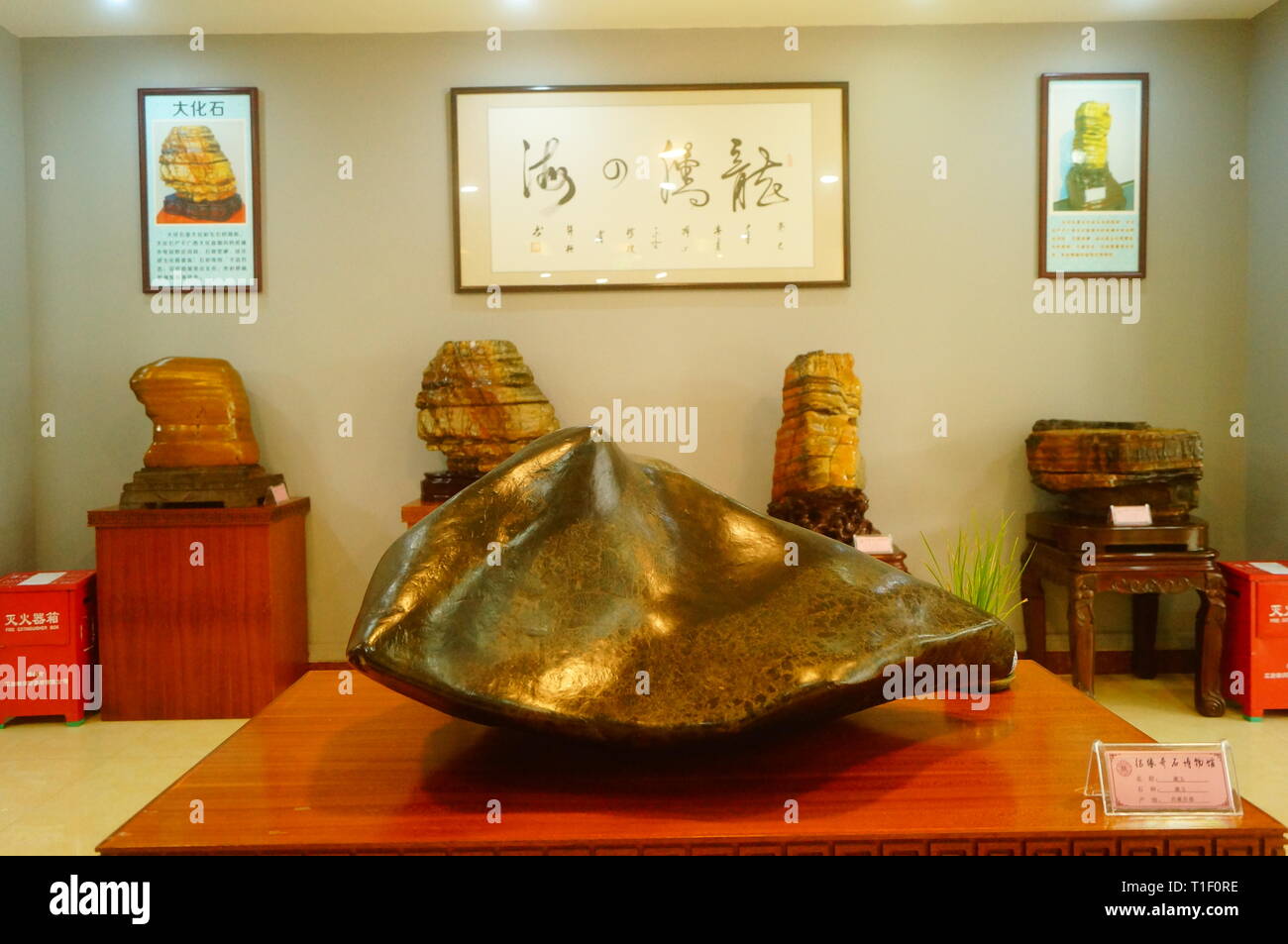 Shenzhen, China: The Margin Stone Museum, a private museum, showcases ...