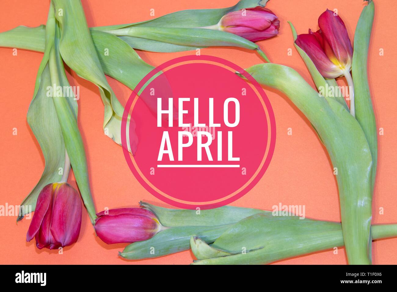 Banner hello april. Hi spring. The second month of spring. Welcome card ...