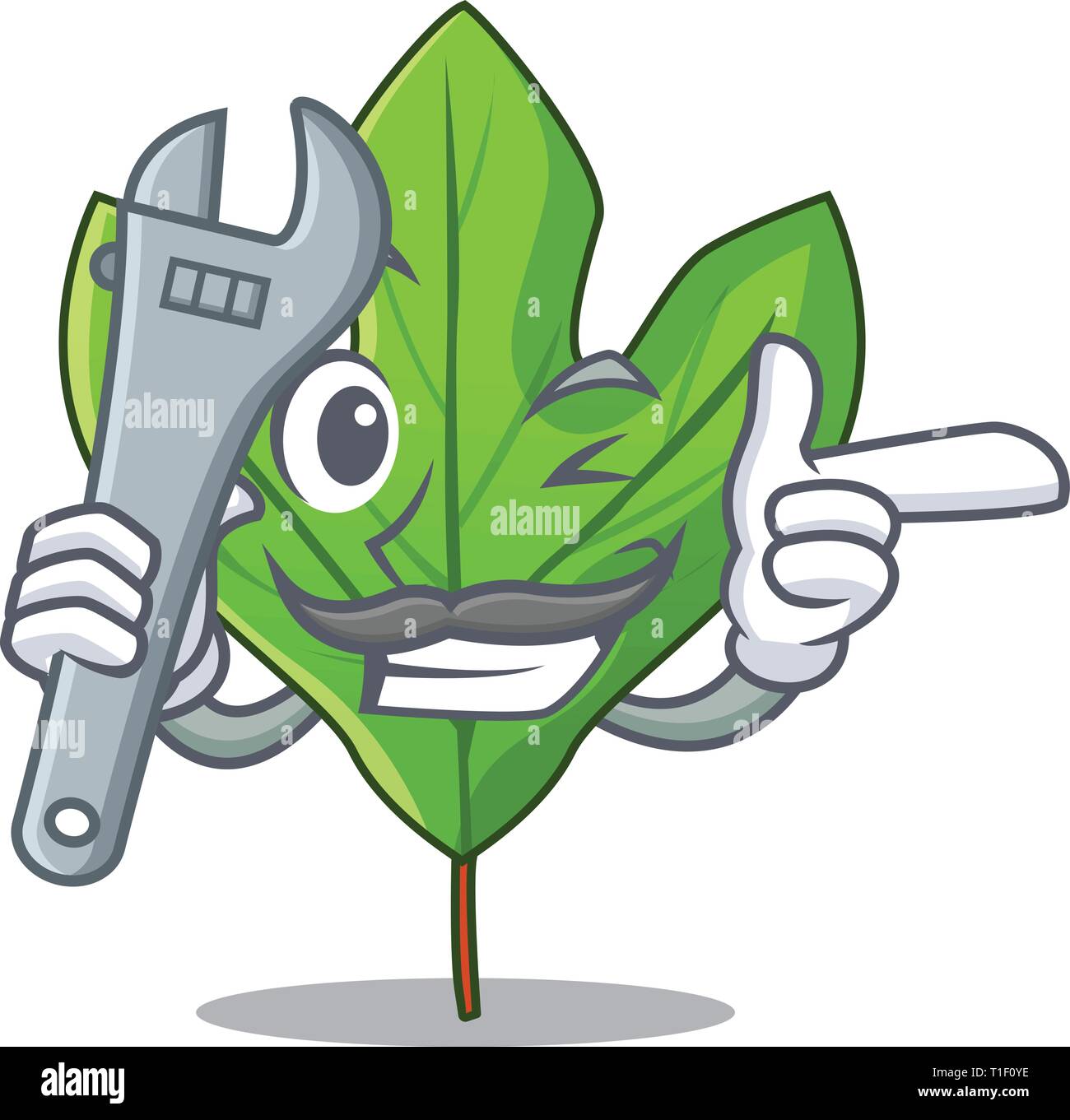 Sassafras illustration Stock Vector Images - Alamy