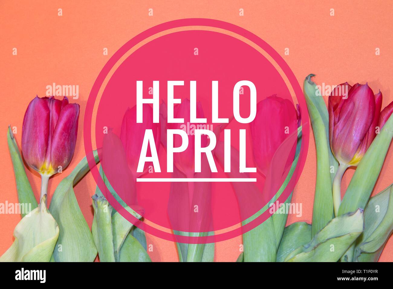 Banner hello april. Hi spring. The second month of spring. Welcome card ...