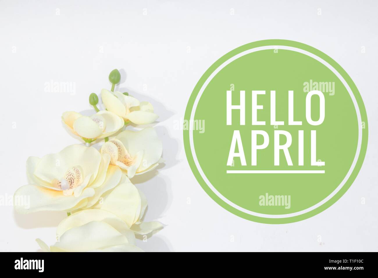 Banner hello april. Hi spring. The second month of spring. Welcome card ...