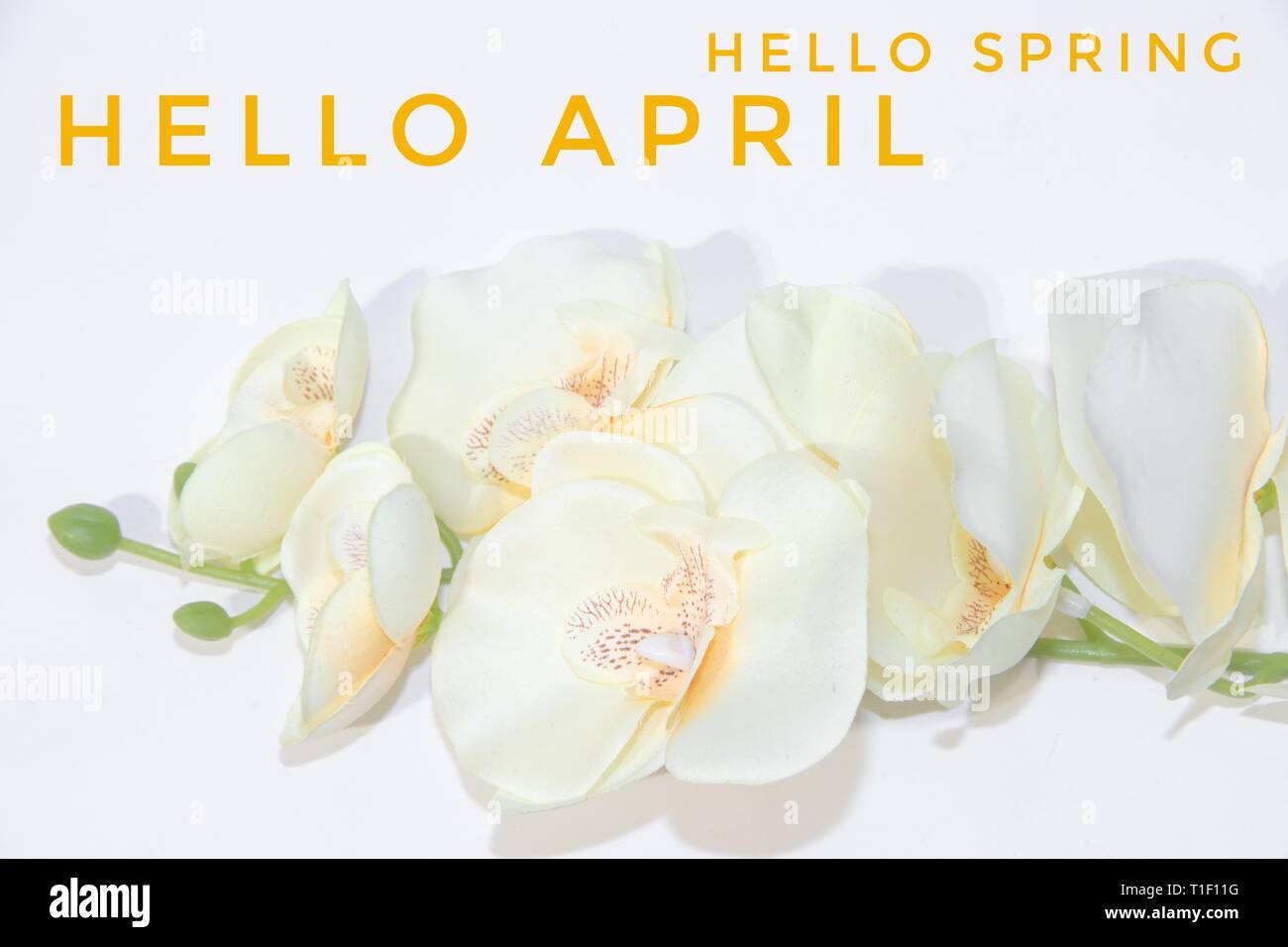 Banner hello april. Hi spring. The second month of spring. Welcome card ...