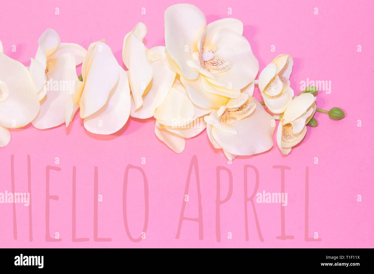 Banner hello april. Hi spring. The second month of spring. Welcome card ...