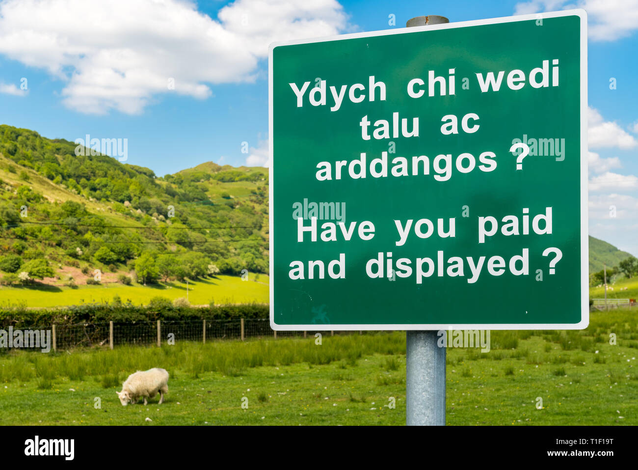 Road Sign In Welsh English High Resolution Stock Photography and Images ...