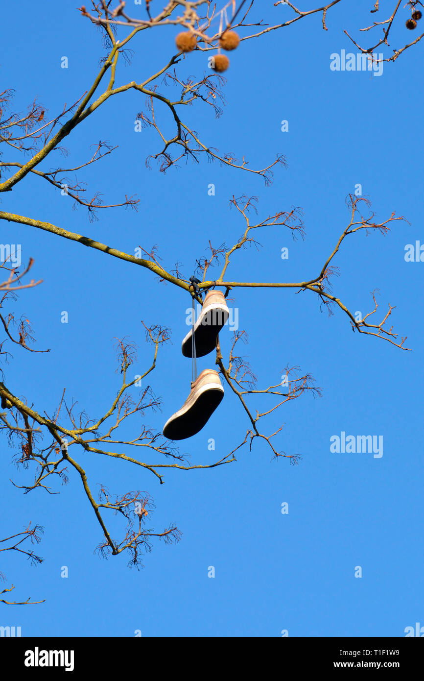 Shoes hanging in tree hi-res stock photography and images - Alamy