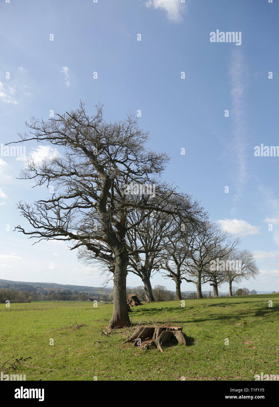 Not mature hi-res stock photography and images - Alamy
