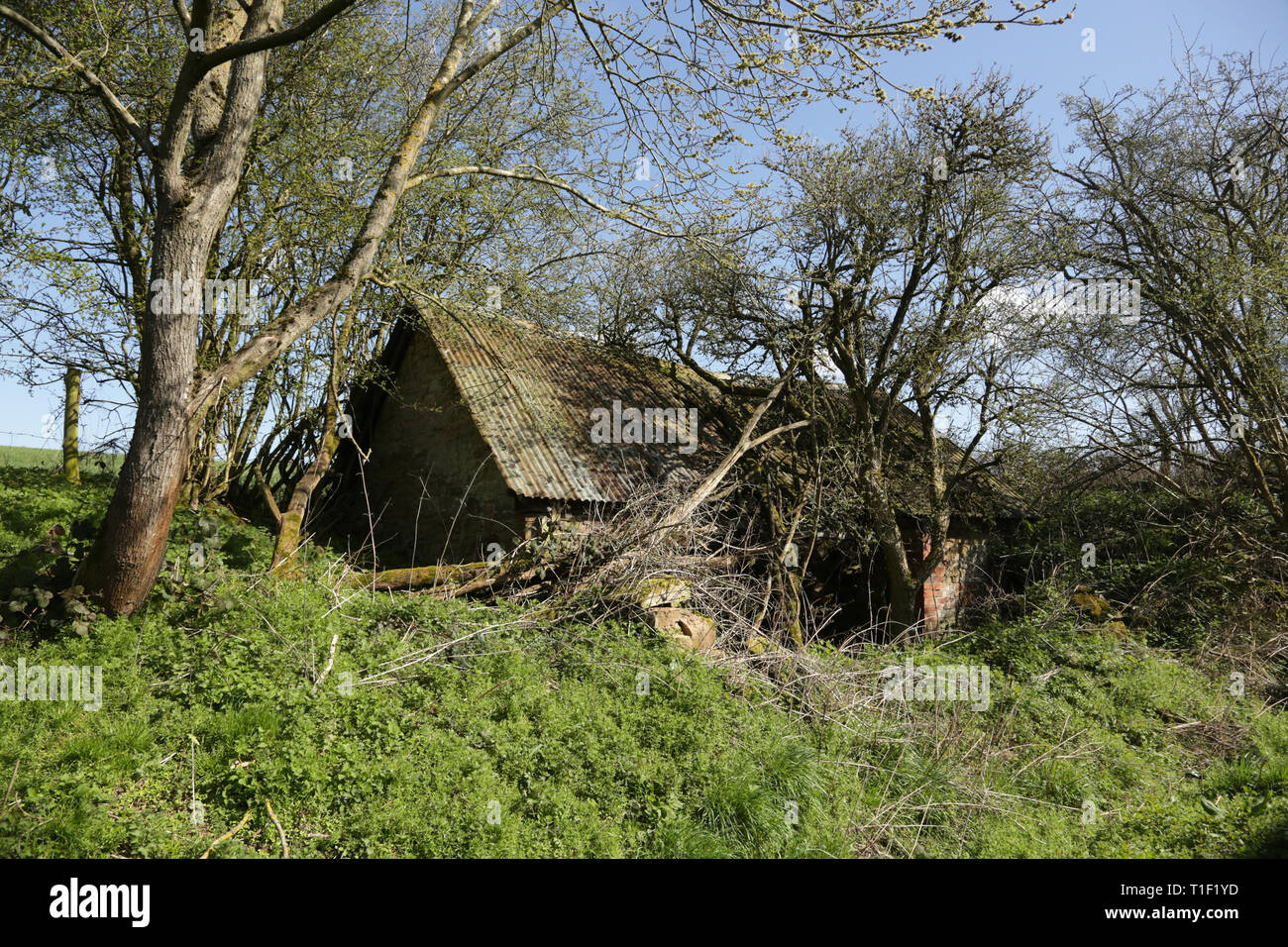 Derelict unused farm building in the Worcestershire countryside, UK ...