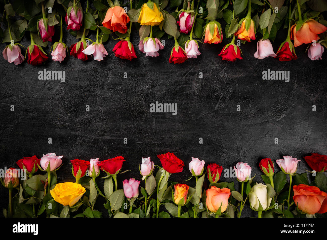 Flowers composition. Frame made of colourful rose flowers on black ...