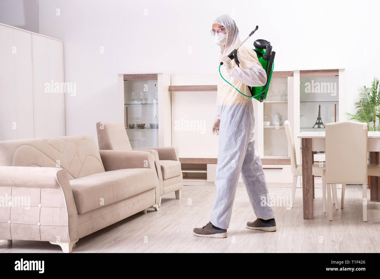 Pest control contractor working in the flat Stock Photo - Alamy