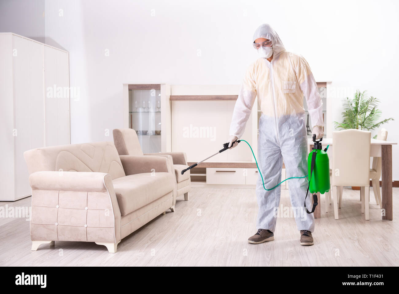 Pest control contractor working in the flat Stock Photo - Alamy
