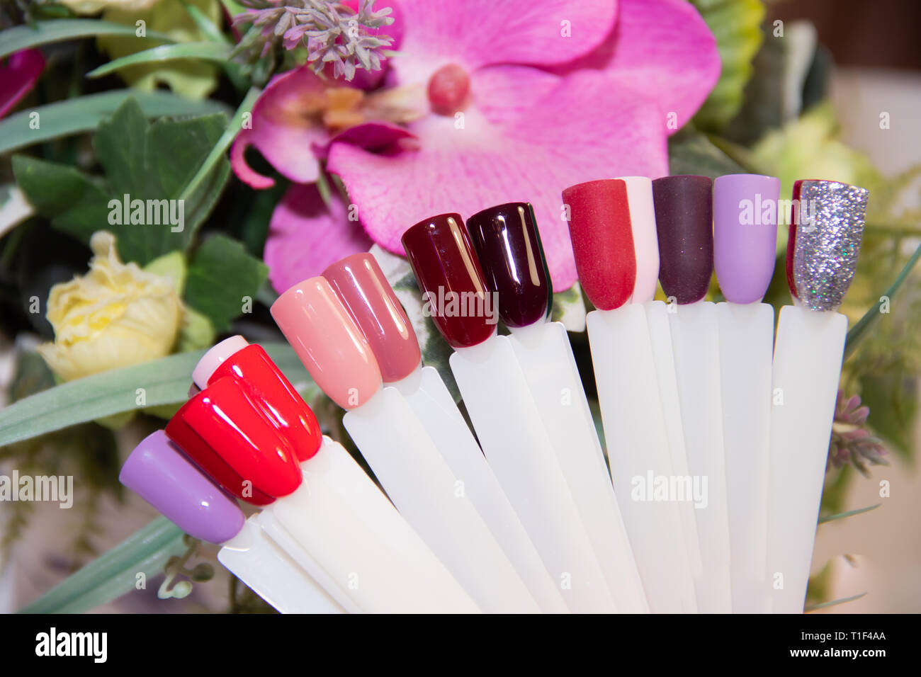 Nail Care And Manicure concept. Multicolor Nail Polish palette for ...