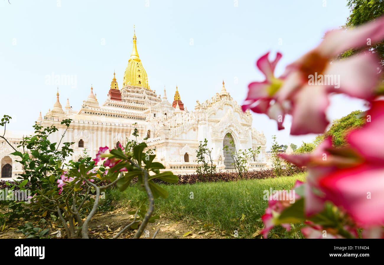 (selective focus) Stunning view of the beautiful Ananda Temple in the ...