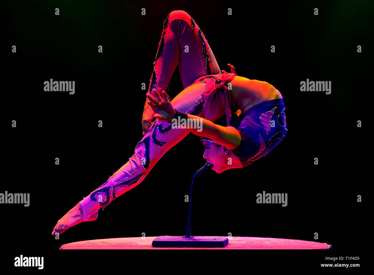 Contortionist hi-res stock photography and images - Alamy