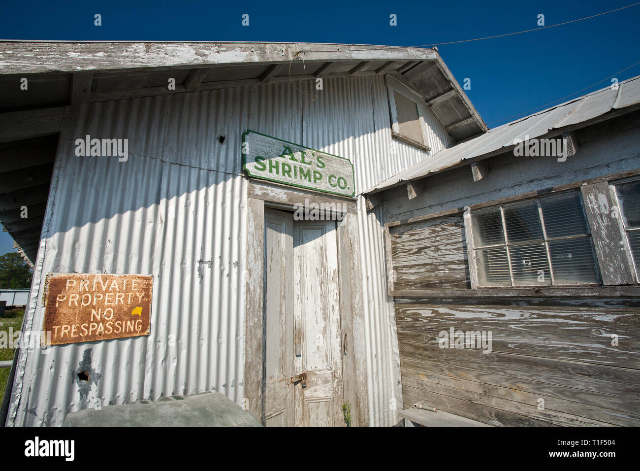 Als shrimp company hi-res stock photography and images - Alamy
