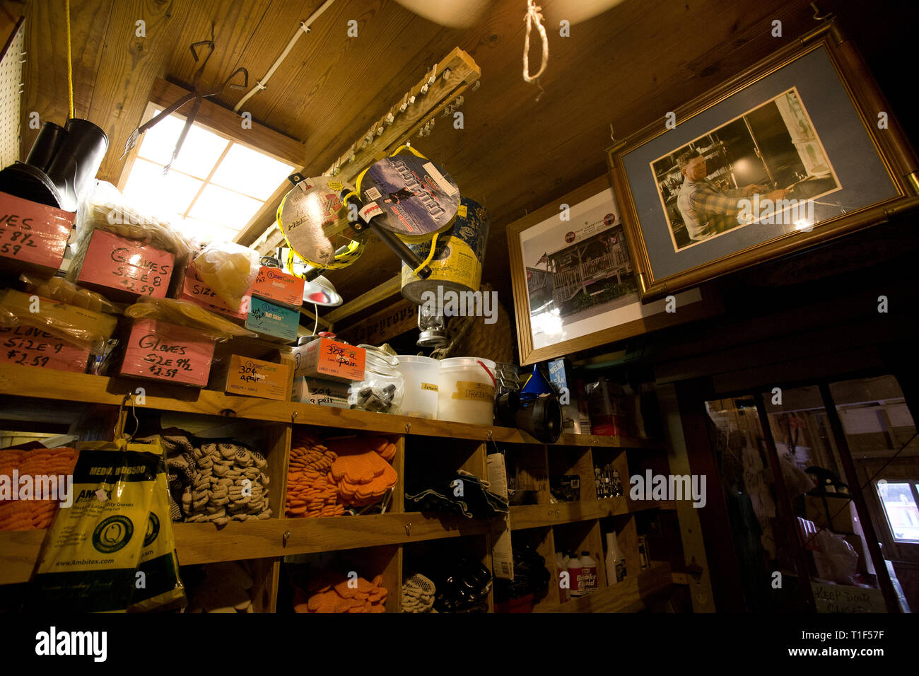 Cocodrie hi-res stock photography and images - Alamy