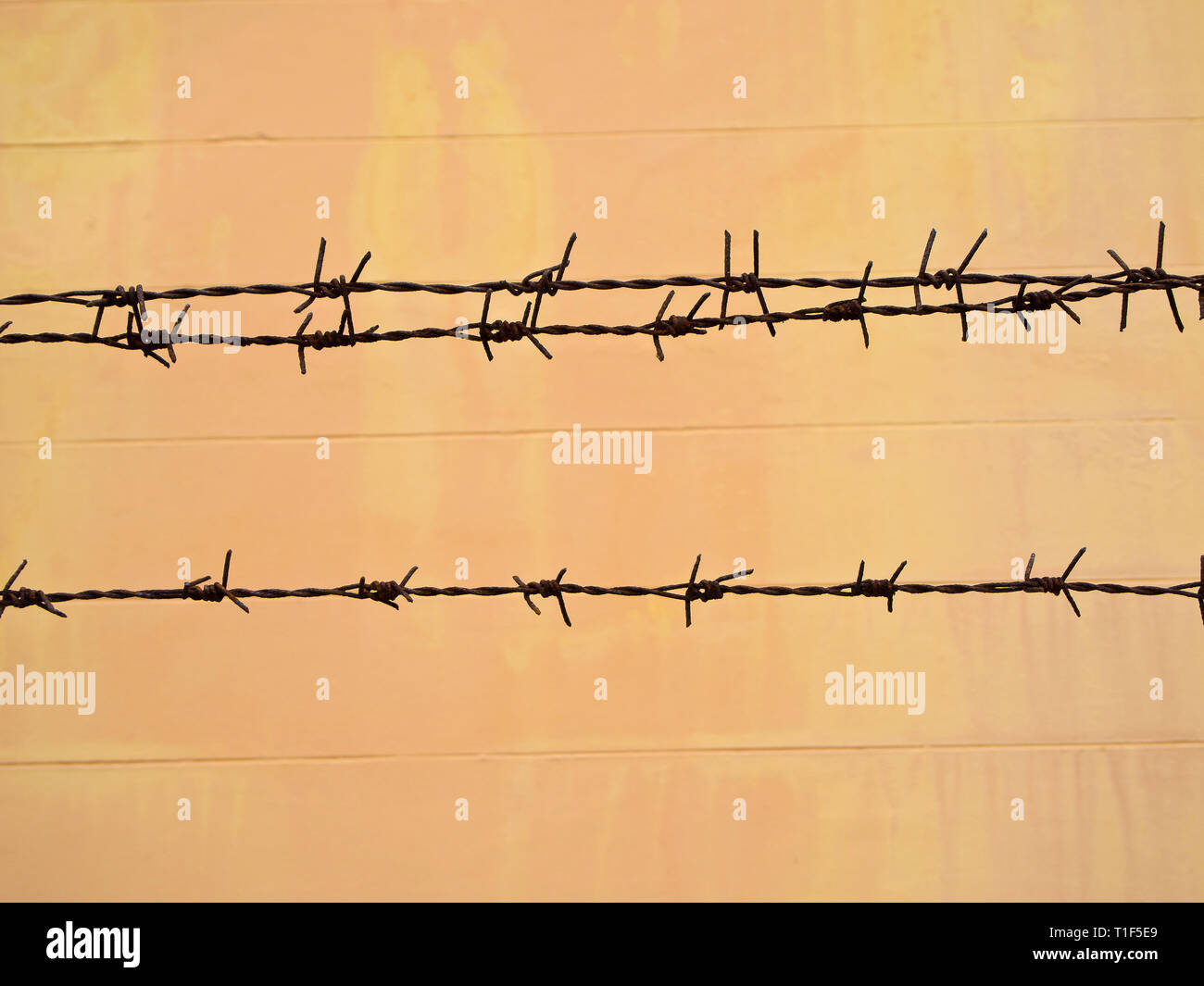 Old and rusty barbed wire on the fence Stock Photo - Alamy