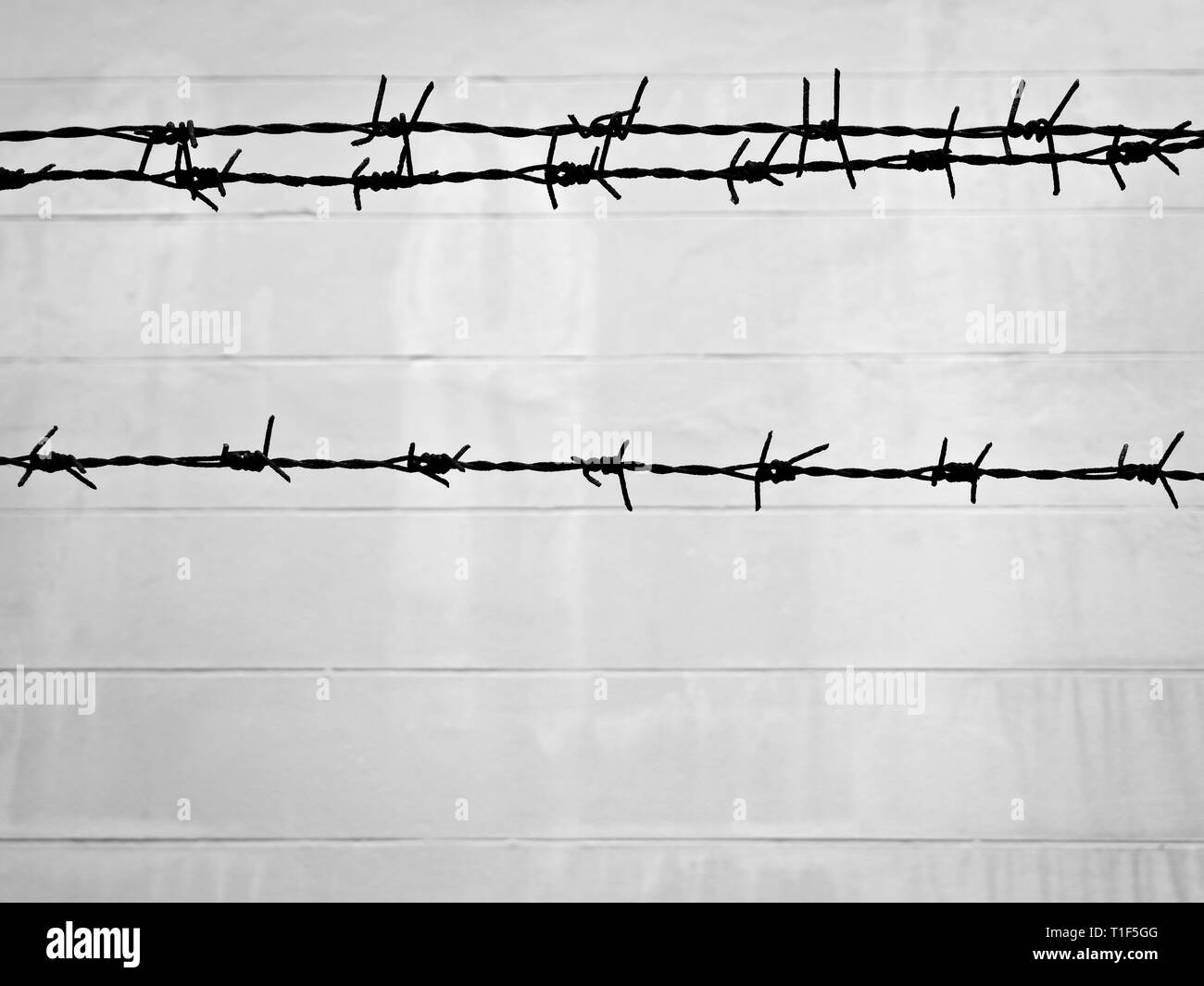 Old and rusty barbed wire on the fence Stock Photo - Alamy