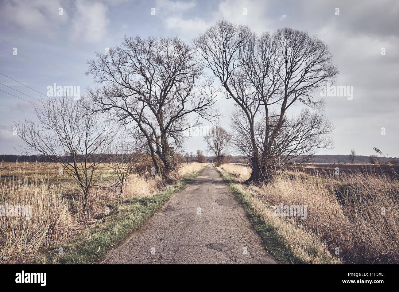Scenic countryside view road hi-res stock photography and images - Alamy