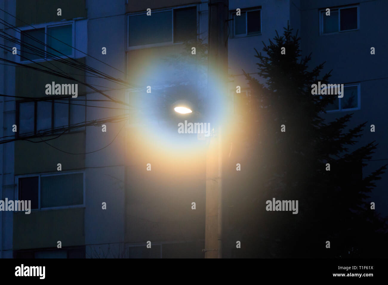 street light with rainbow colored halo in the foggy morning Stock Photo ...