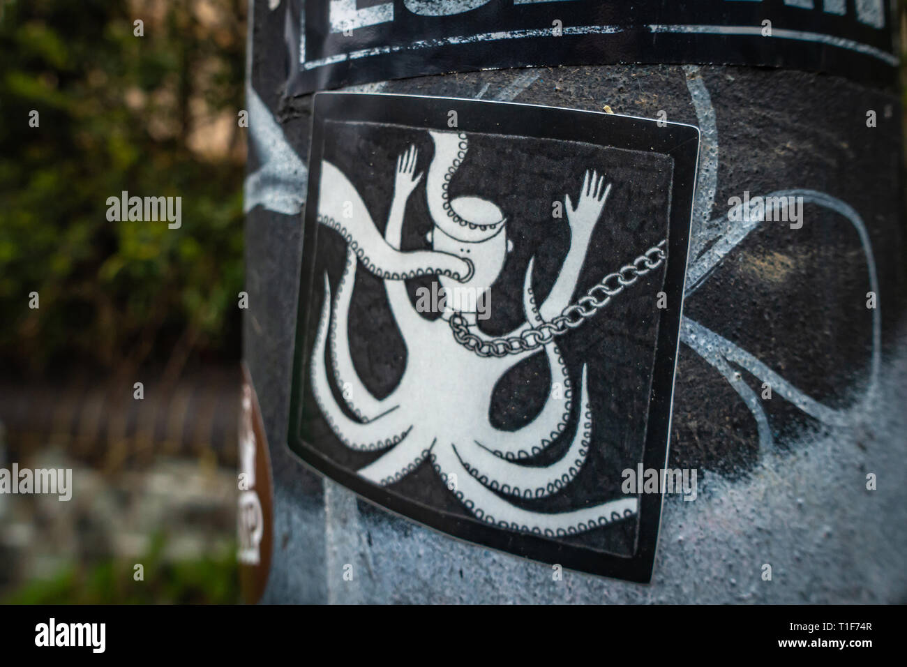 Half human half octopus hi-res stock photography and images - Alamy