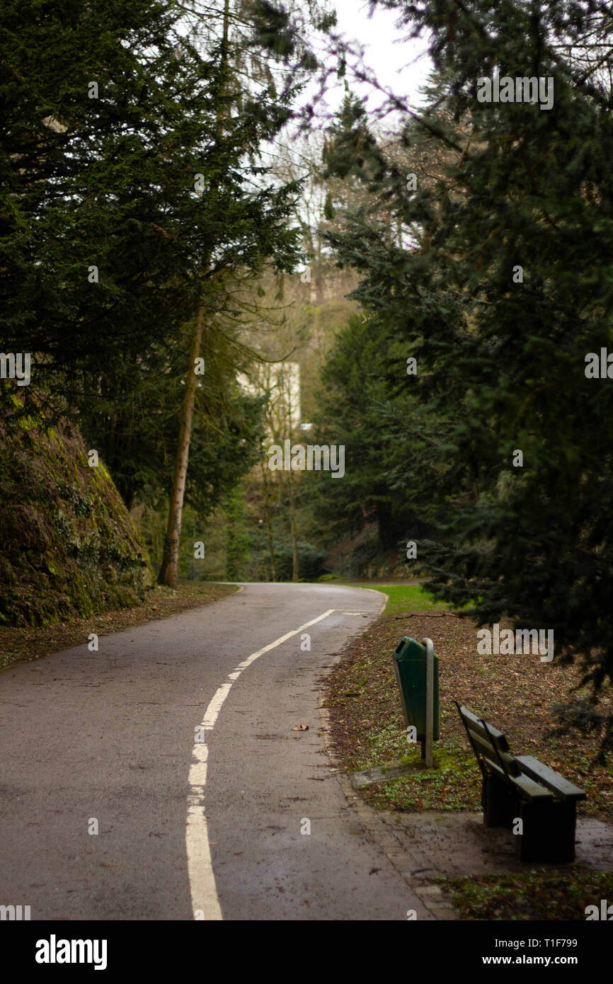 A running path winds through the woods Stock Photo - Alamy