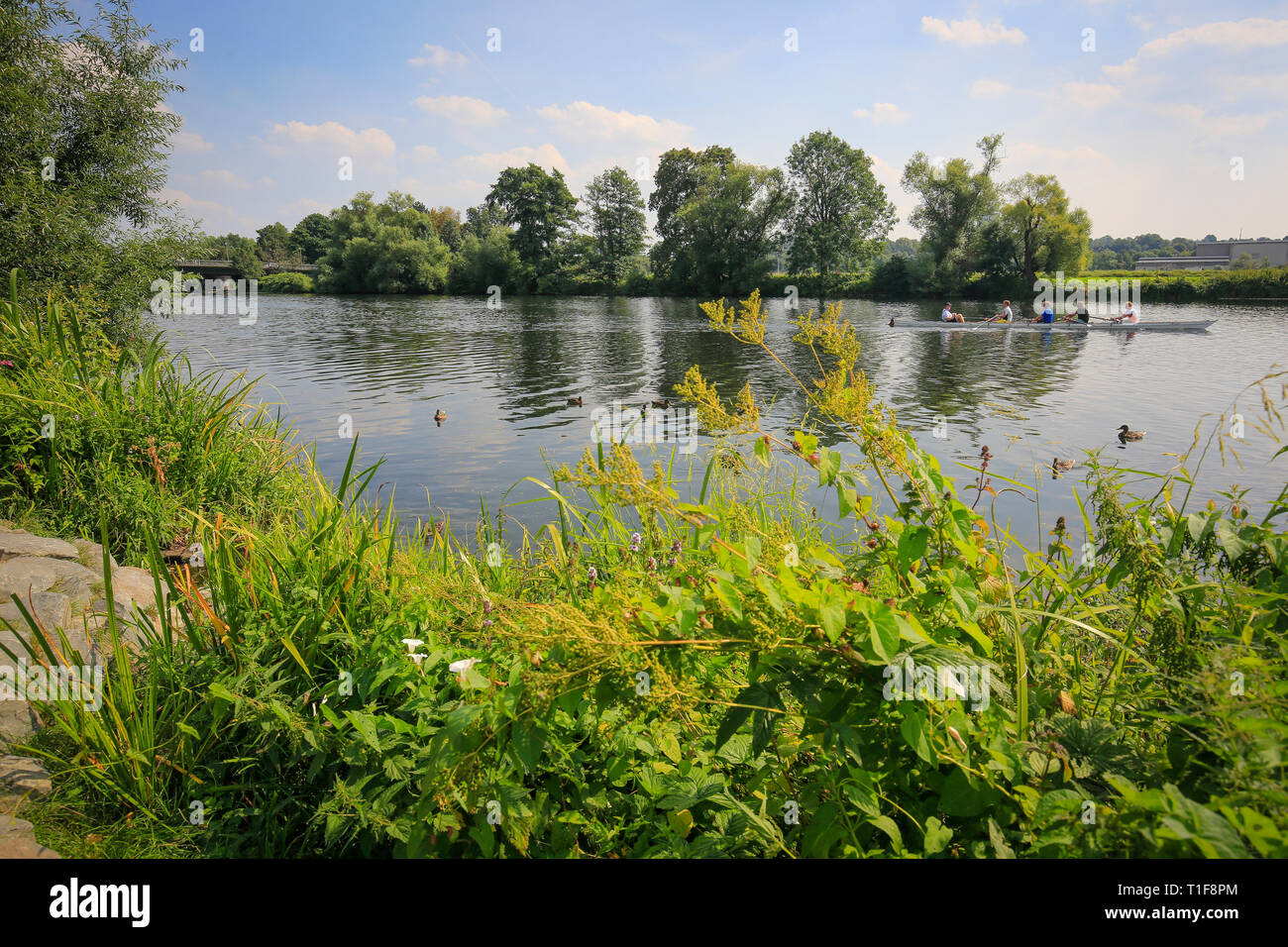 19.08.2016, Essen, North Rhine-Westphalia, Germany - Ruhr in the ...