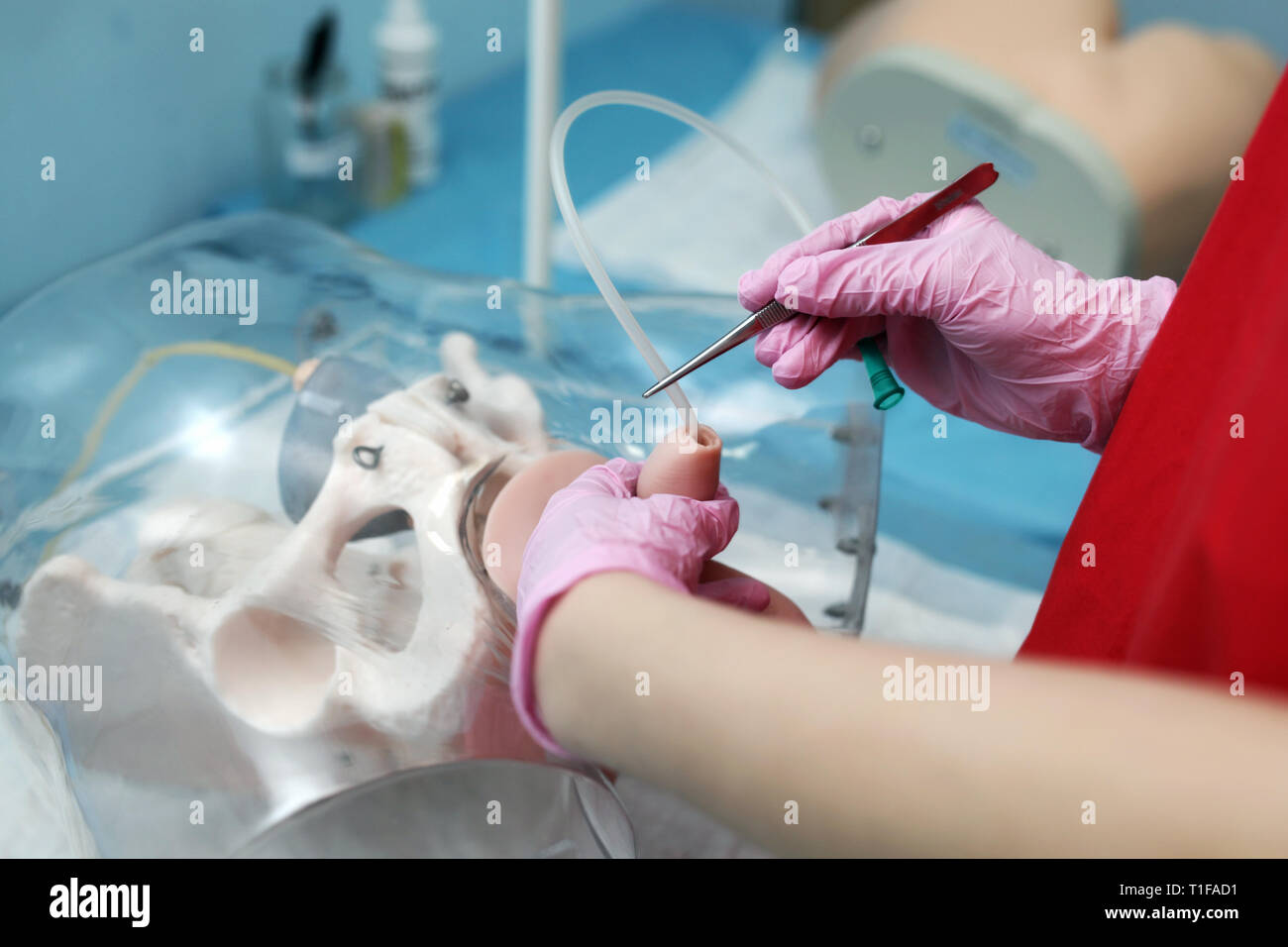 treatment prostate. concept working out operation for catheterization ...
